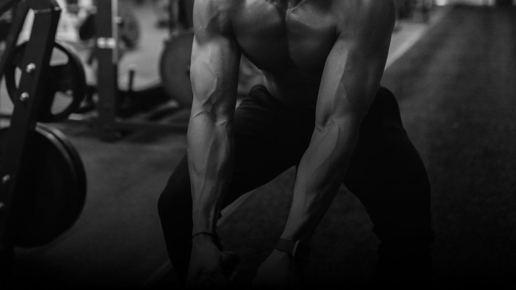 Protocol Performance | Our Story